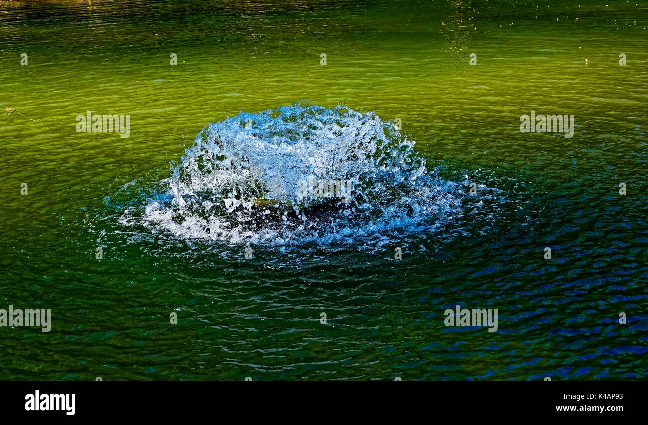 Spring Fountain In The Pond Stock Photo - Alamy