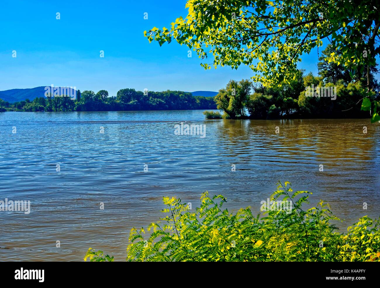 Danube River Landscape At The Danube Stock Photo - Alamy