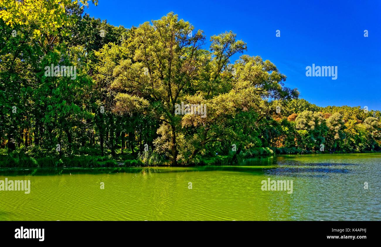 Nature Conservation Area Landscape With A Lake Stock Photo - Alamy