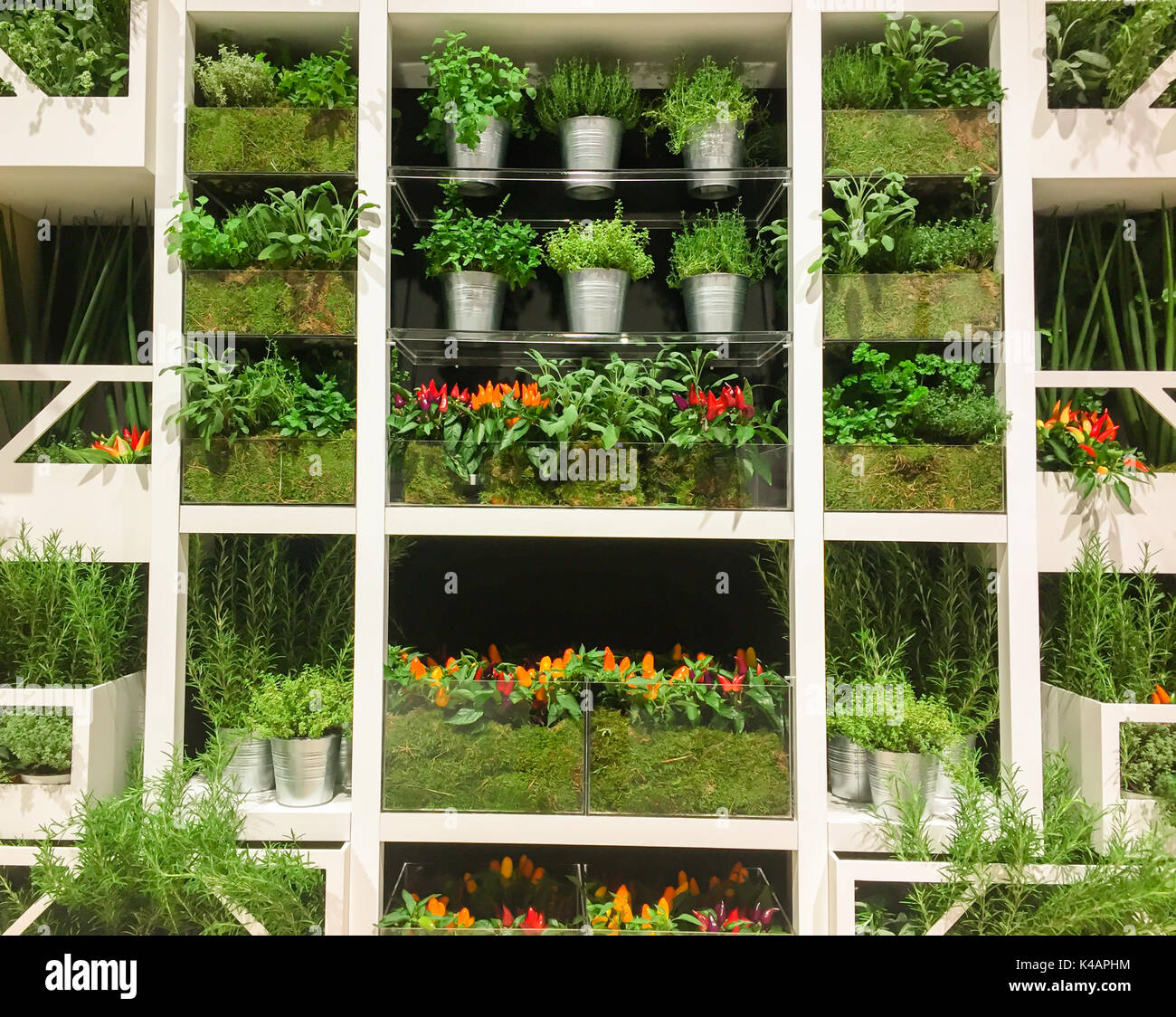 Modern office interior and plant hi-res stock photography and images ...