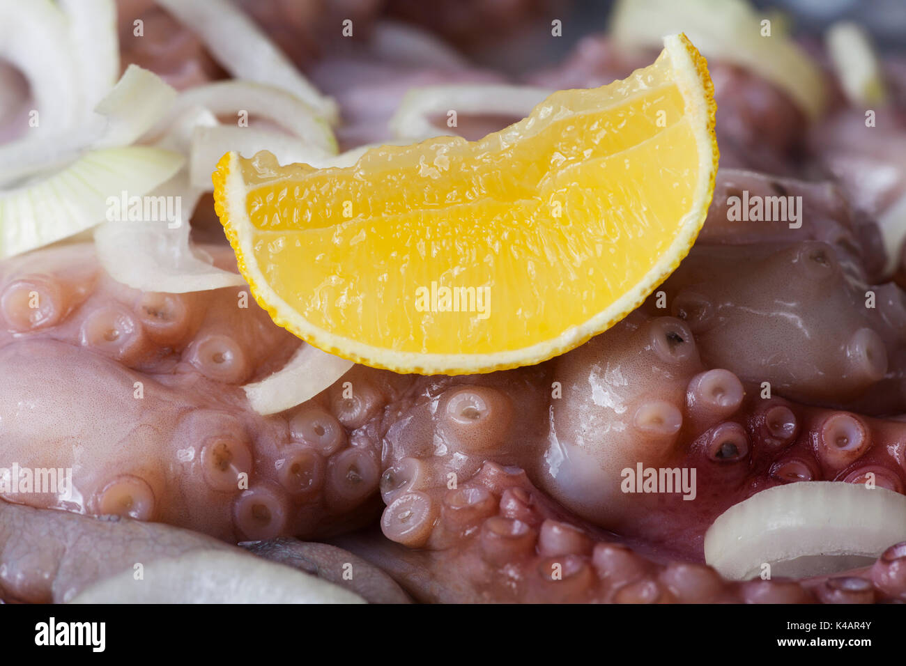 Greek octopus hi-res stock photography and images - Alamy