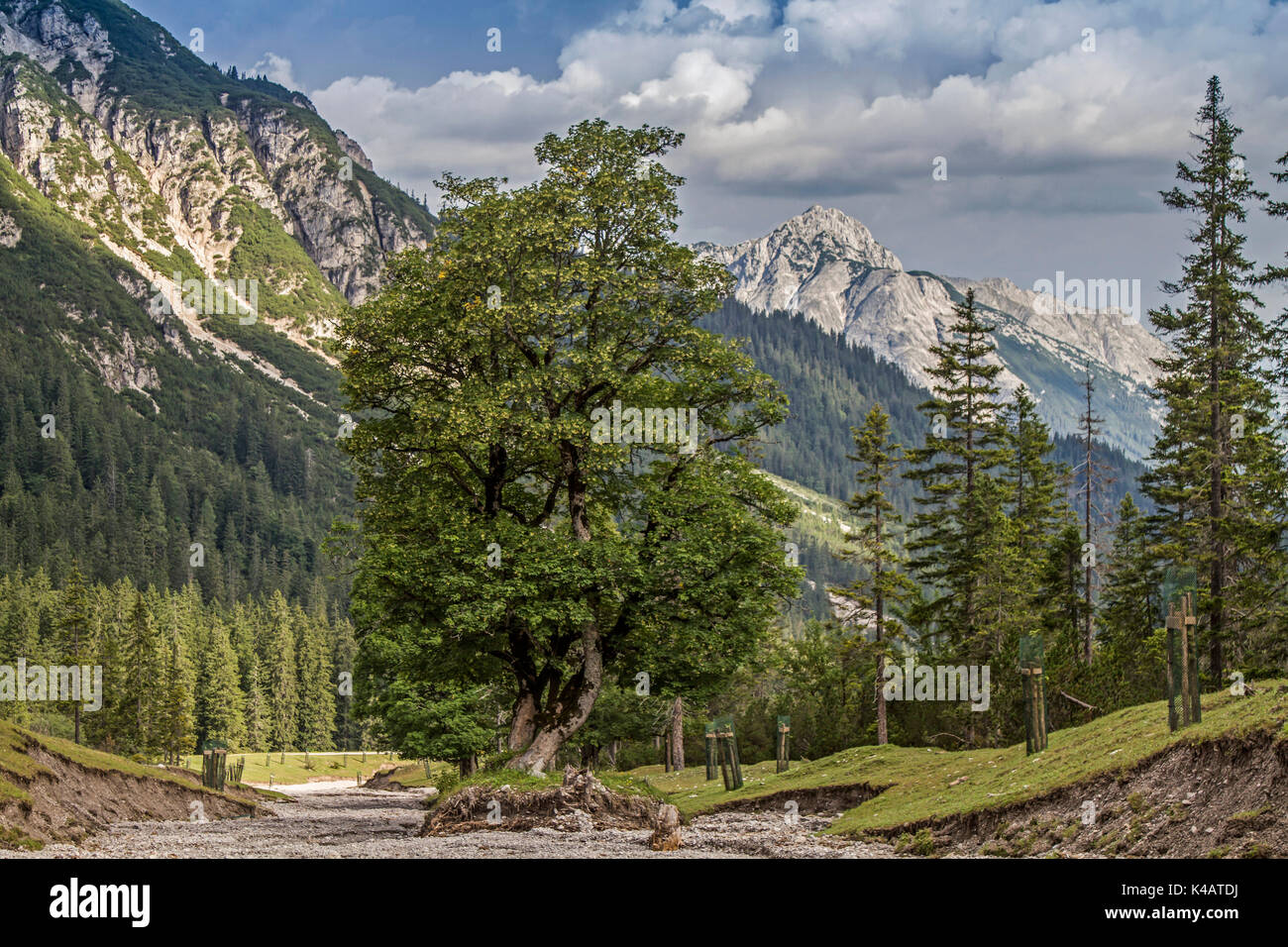 Im hintergrund hi-res stock photography and images - Alamy