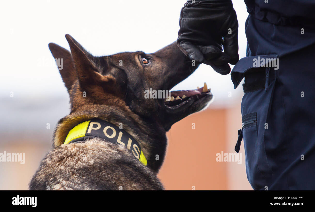 Politie police hi-res stock photography and images - Alamy