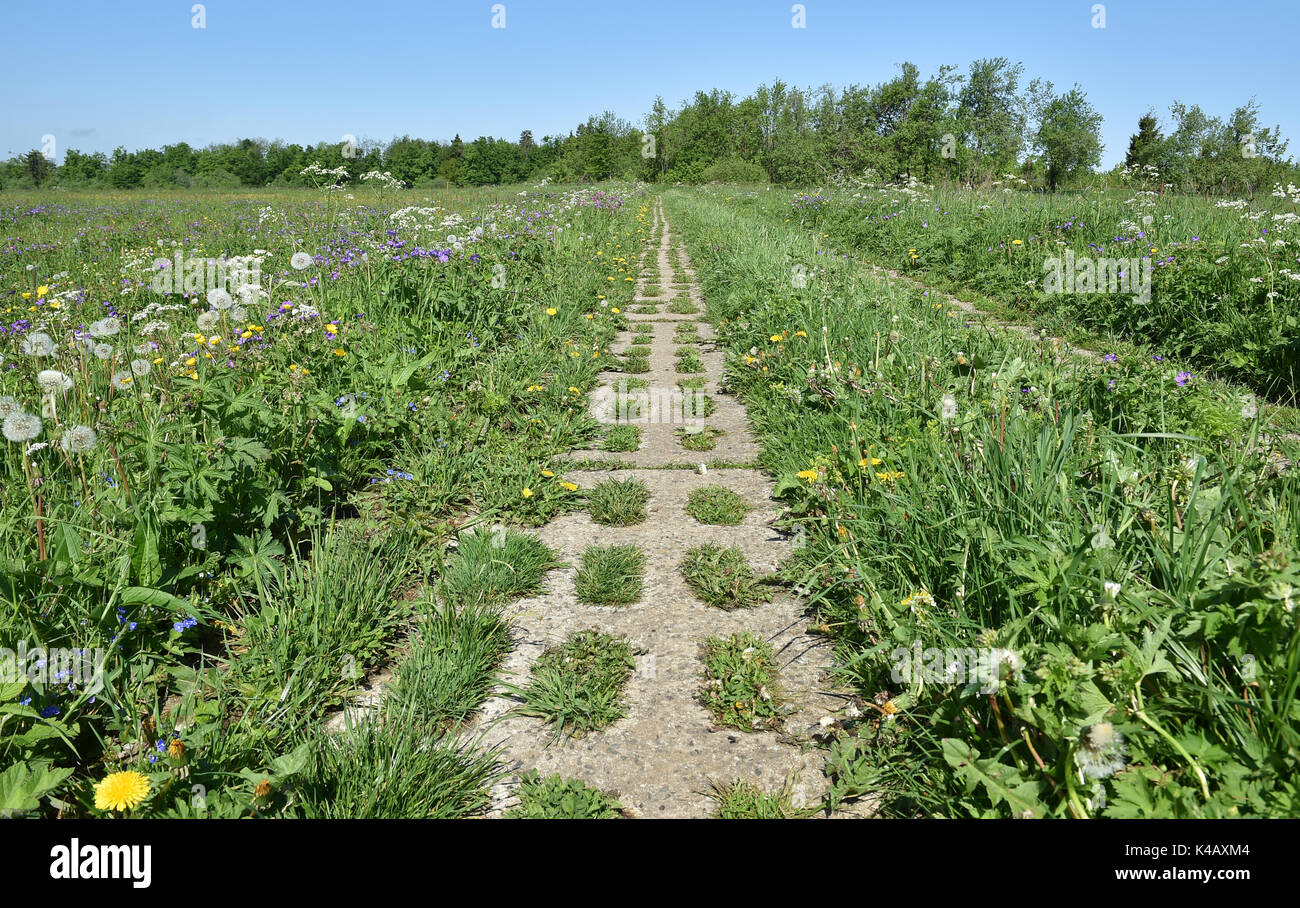 East german border patrol hi-res stock photography and images - Alamy