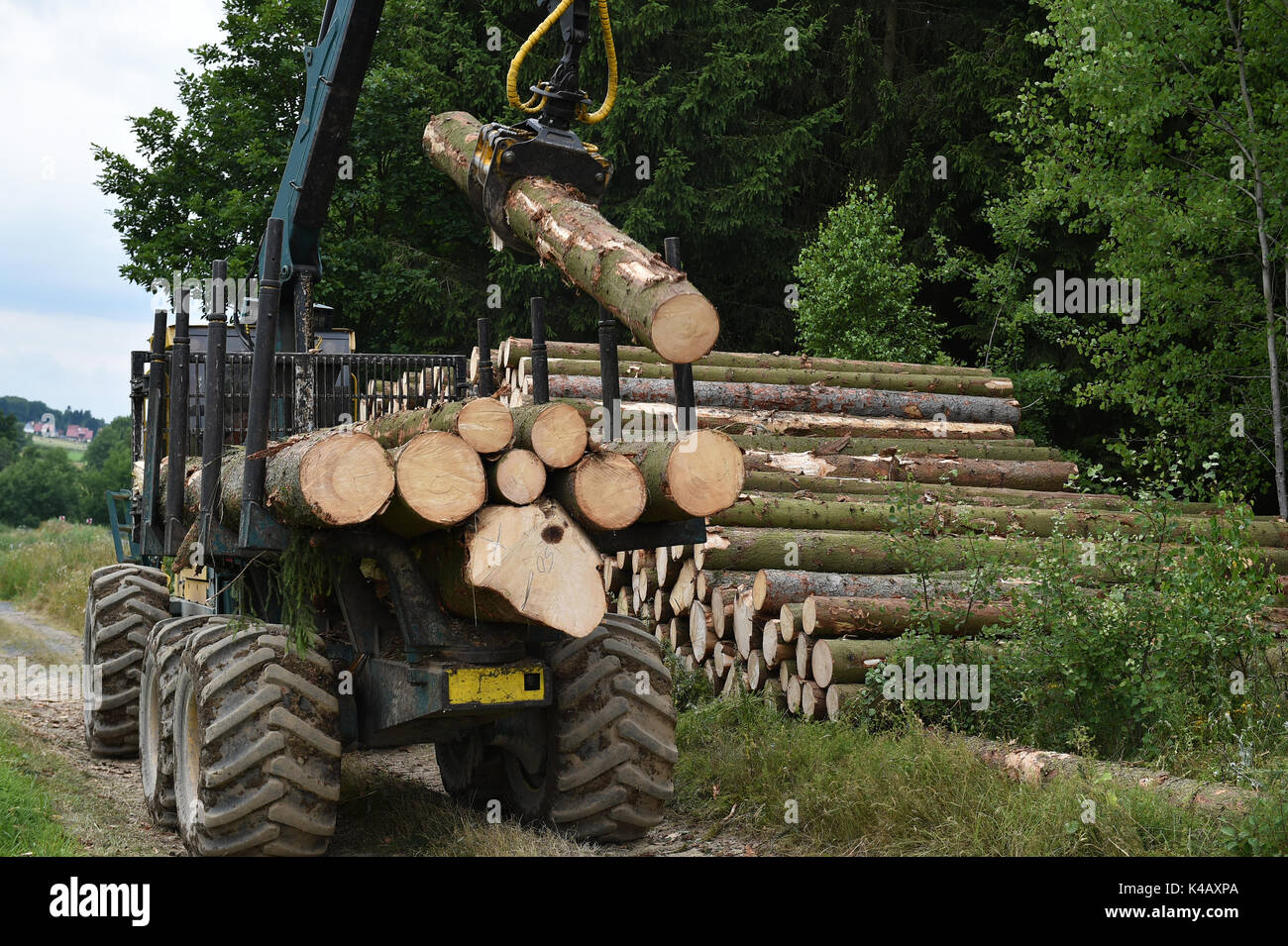 Forestry forwarder hi-res stock photography and images - Alamy