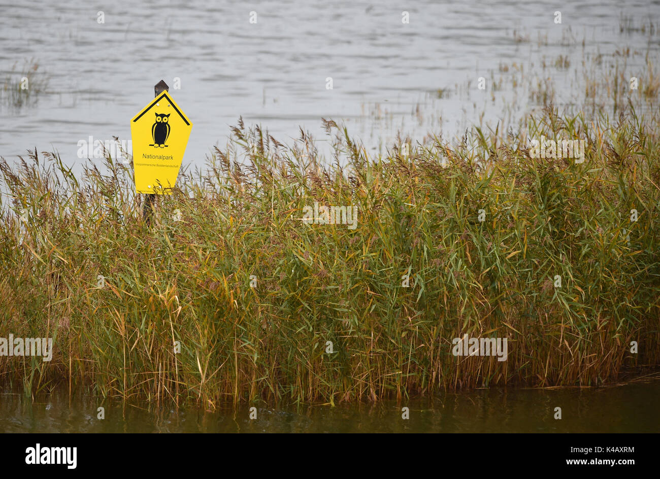 Nature Conservation Area Stock Photo - Alamy