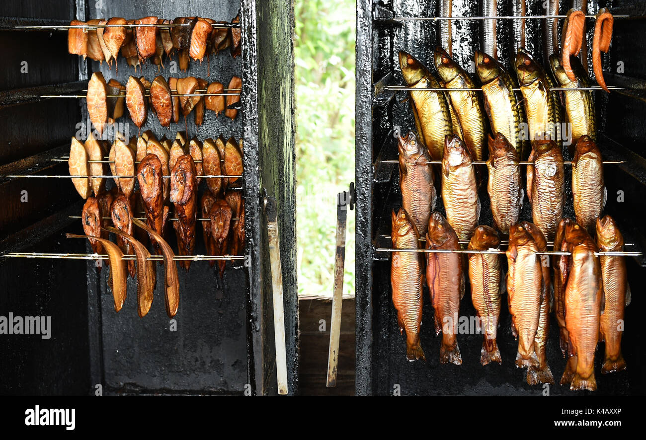 Fish transport truck hi-res stock photography and images - Alamy