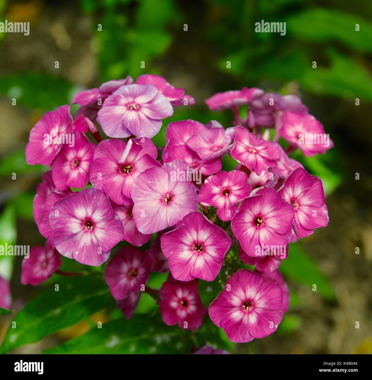 Some of the parks in Hamilton County Ohio Stock Photo - Alamy