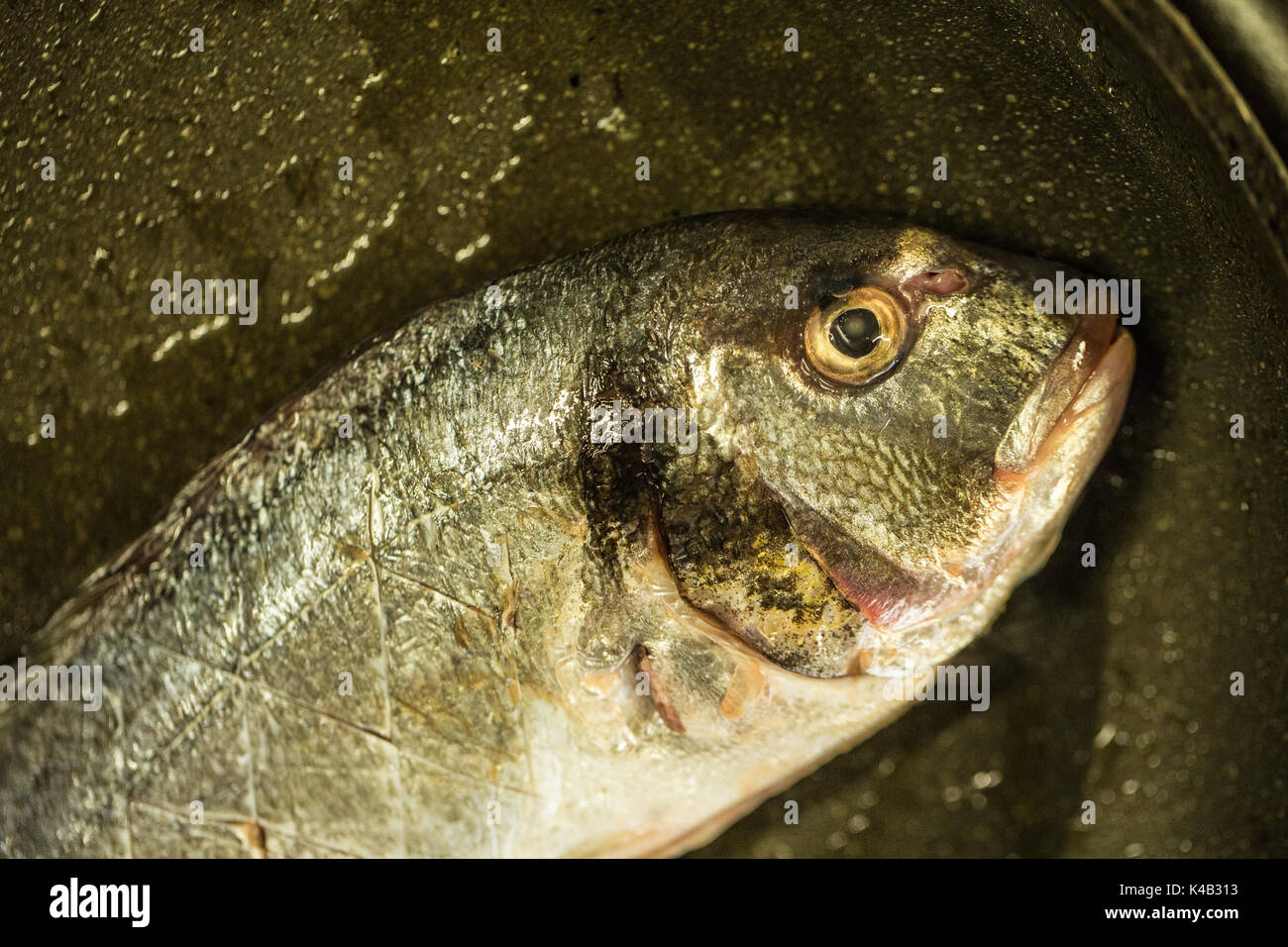 Gilthead Fish In A Pan Stock Photo - Alamy