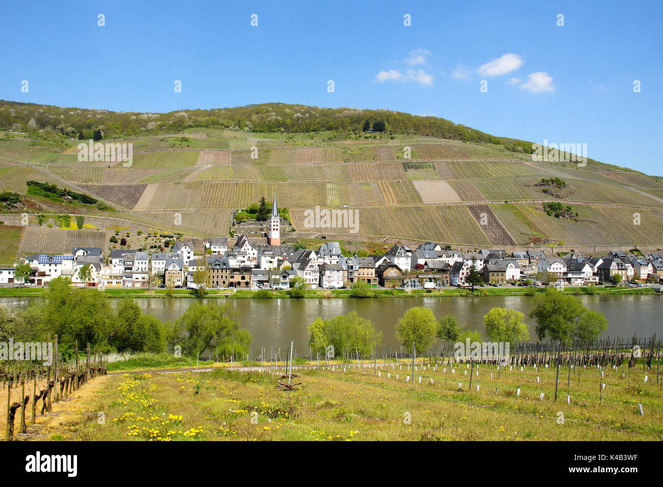 Merl hi-res stock photography and images - Alamy