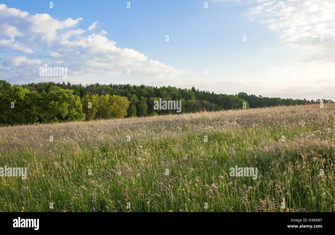 Buschfeld hi-res stock photography and images - Alamy