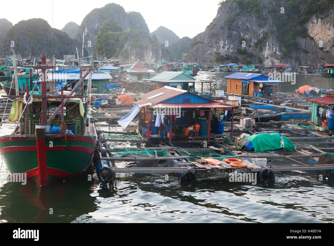 HAIPHONG, VIETNAM - AUGUST 2017: Floating village in Cat Ba islands ...