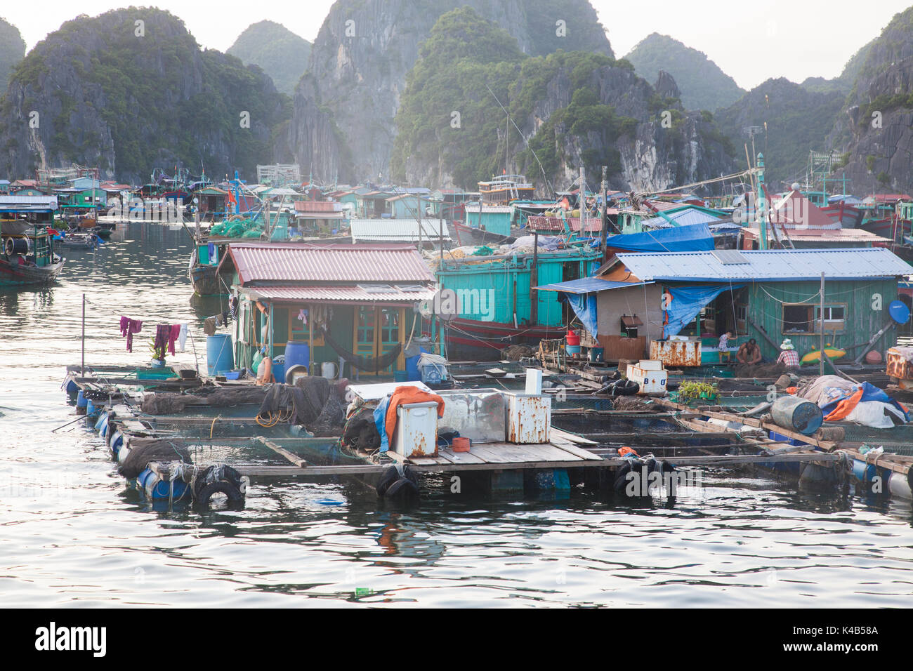 HAIPHONG, VIETNAM - AUGUST 2017: Floating village in Cat Ba islands ...
