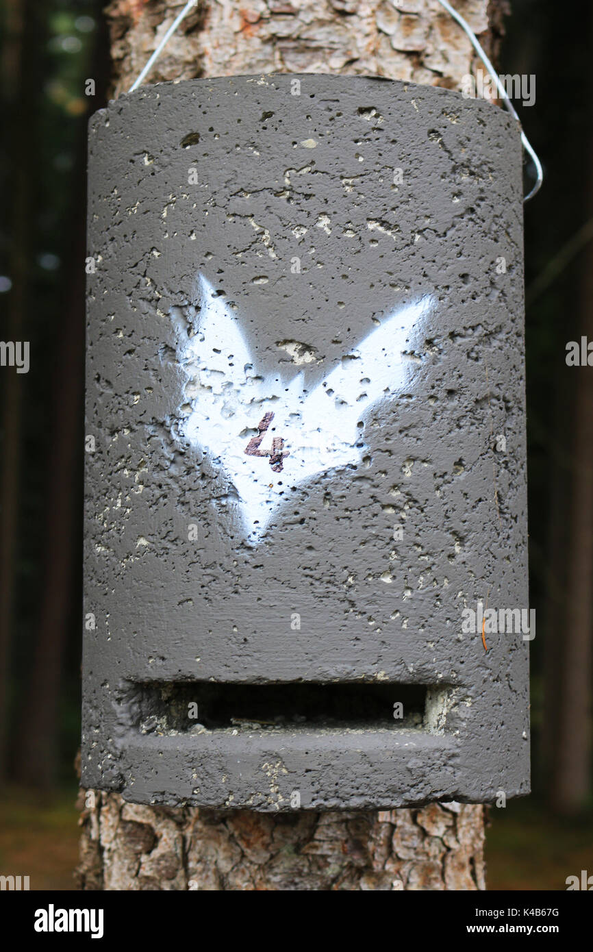 Bat nesting box hi-res stock photography and images - Alamy