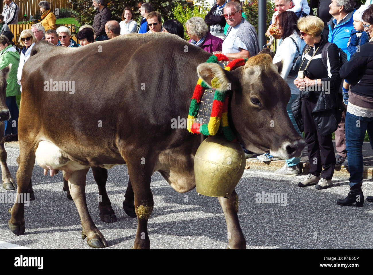 Almanac hi-res stock photography and images - Alamy