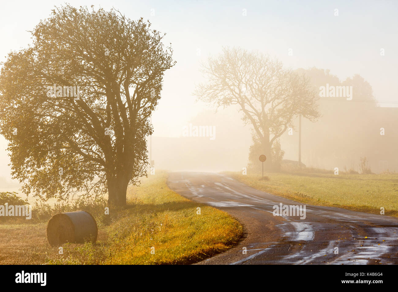 Morning fog on a country road Stock Photo - Alamy