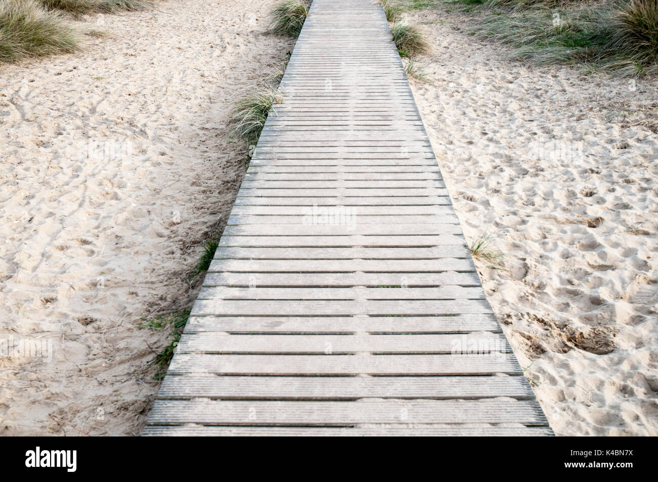 footpath on beach Stock Photo - Alamy