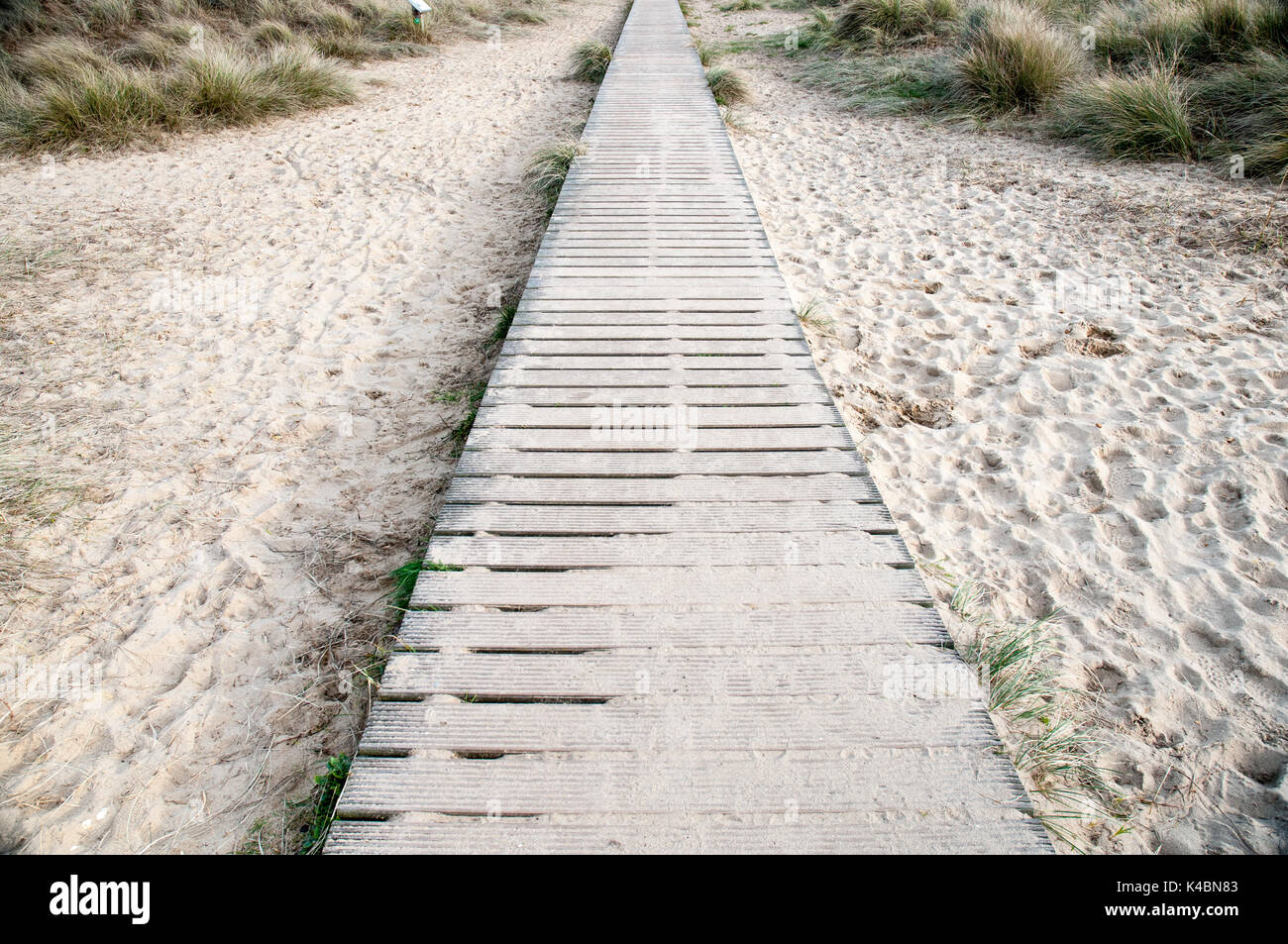 footpath on beach Stock Photo - Alamy