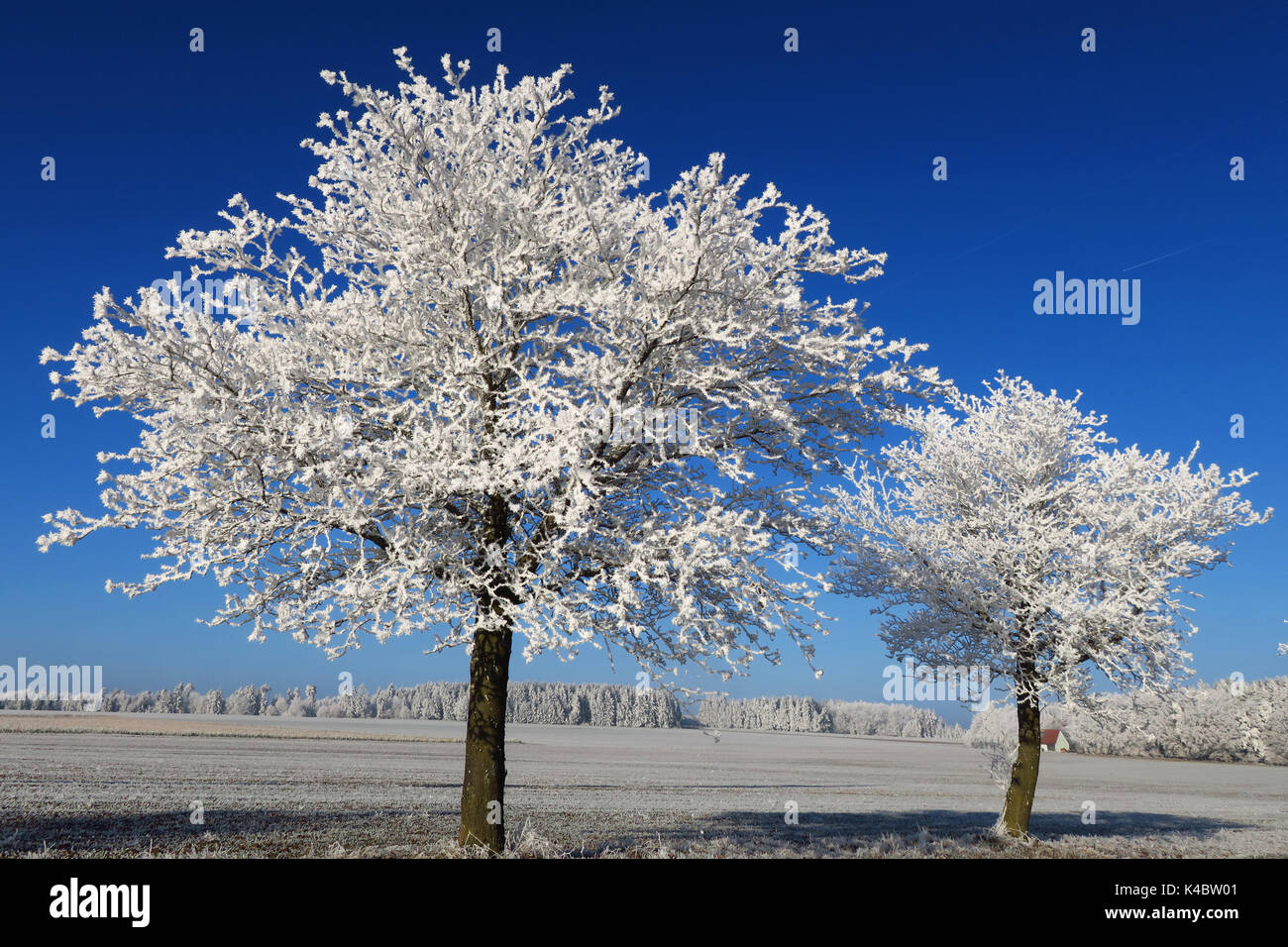 Environment rime hi-res stock photography and images - Alamy