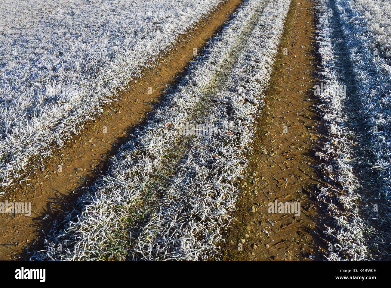 Environment rime hi-res stock photography and images - Alamy