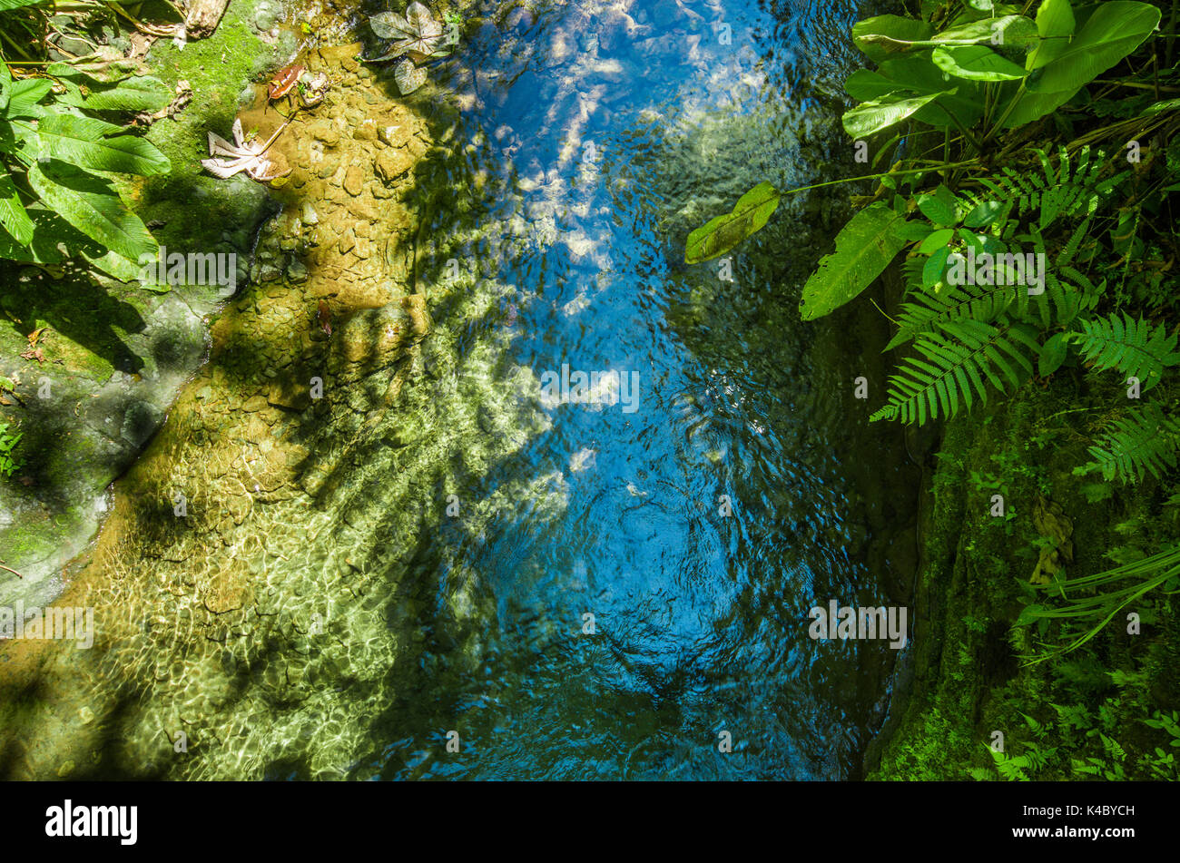 Top view of a natural pond inside of a green forest with stones in ...