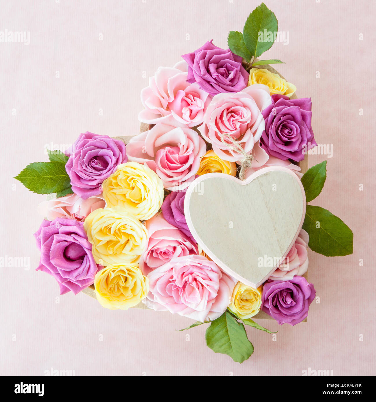 Flourishing roses with petals hi-res stock photography and images - Alamy