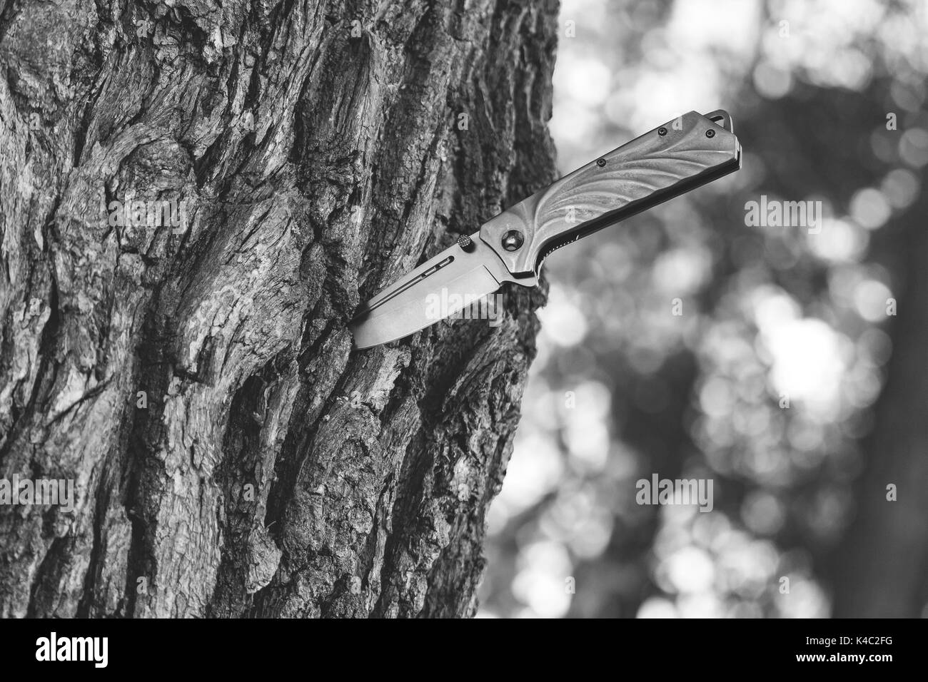 Knife stuck in the tree trunk Stock Photo - Alamy