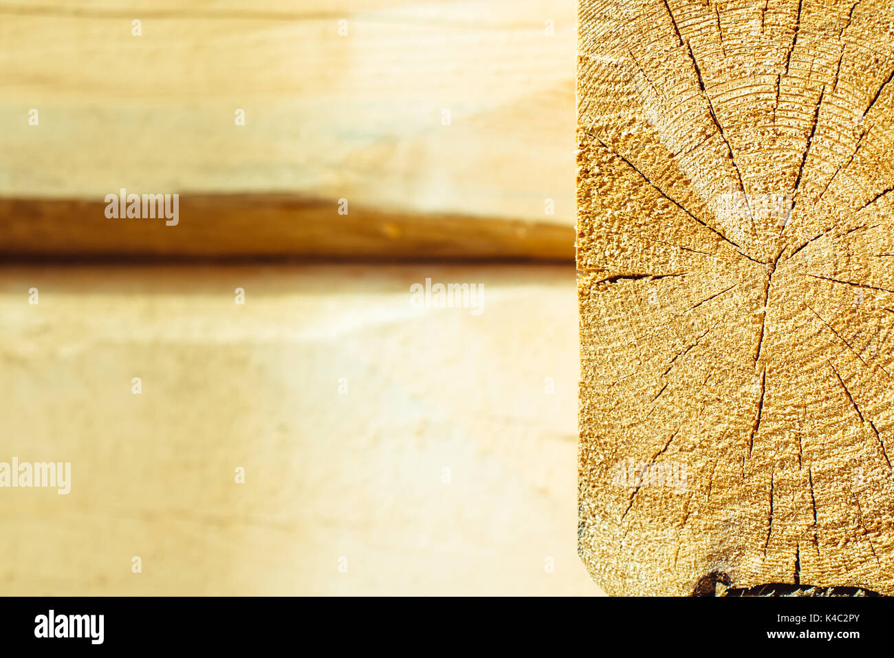 Sawed oak tree trunk. Cross section of the timber. Firewood stack for ...