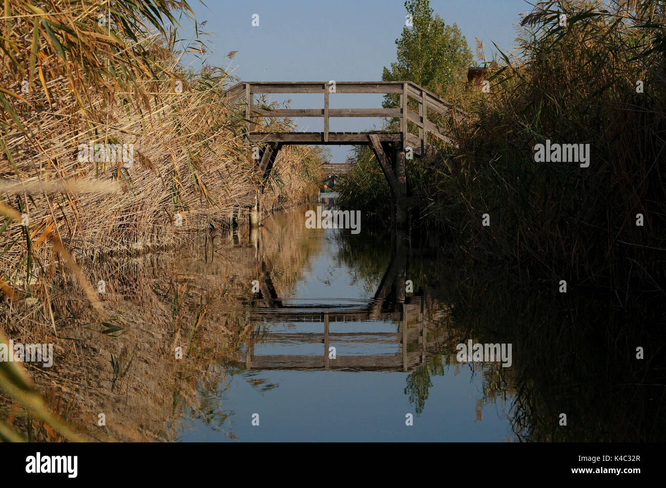 Wooden Bridge Over Canal In Reeds At Lake Neusiedl Stock Photo - Alamy