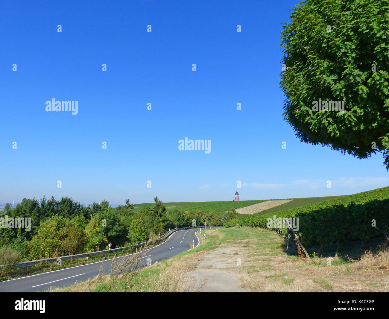 Vineyardtower hi-res stock photography and images - Alamy