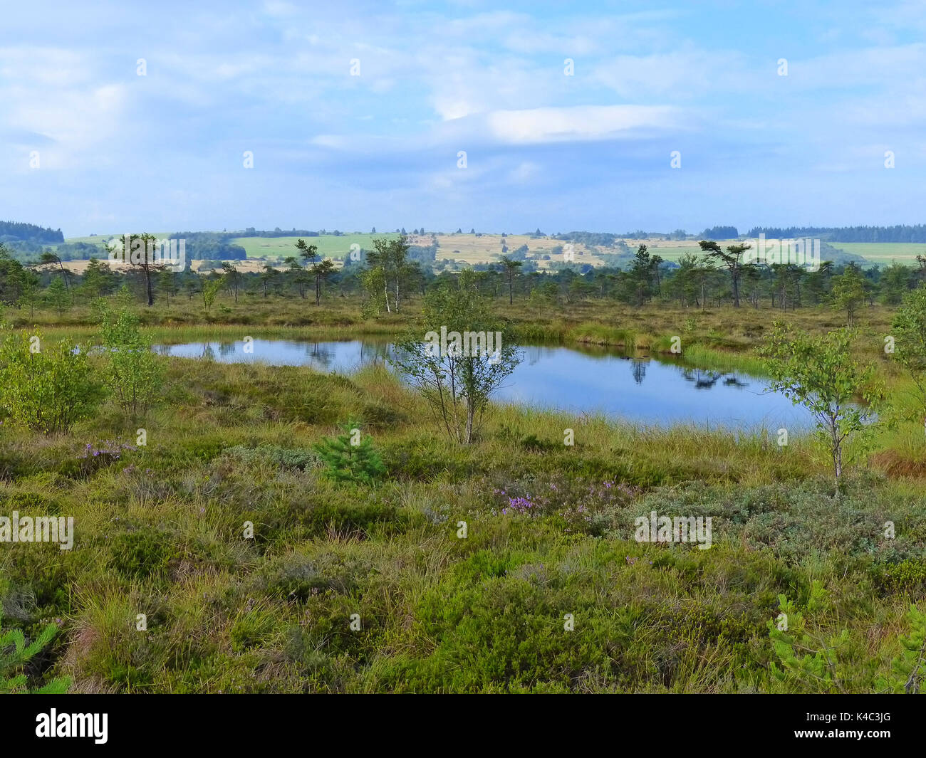 Moor eyes hi-res stock photography and images - Alamy