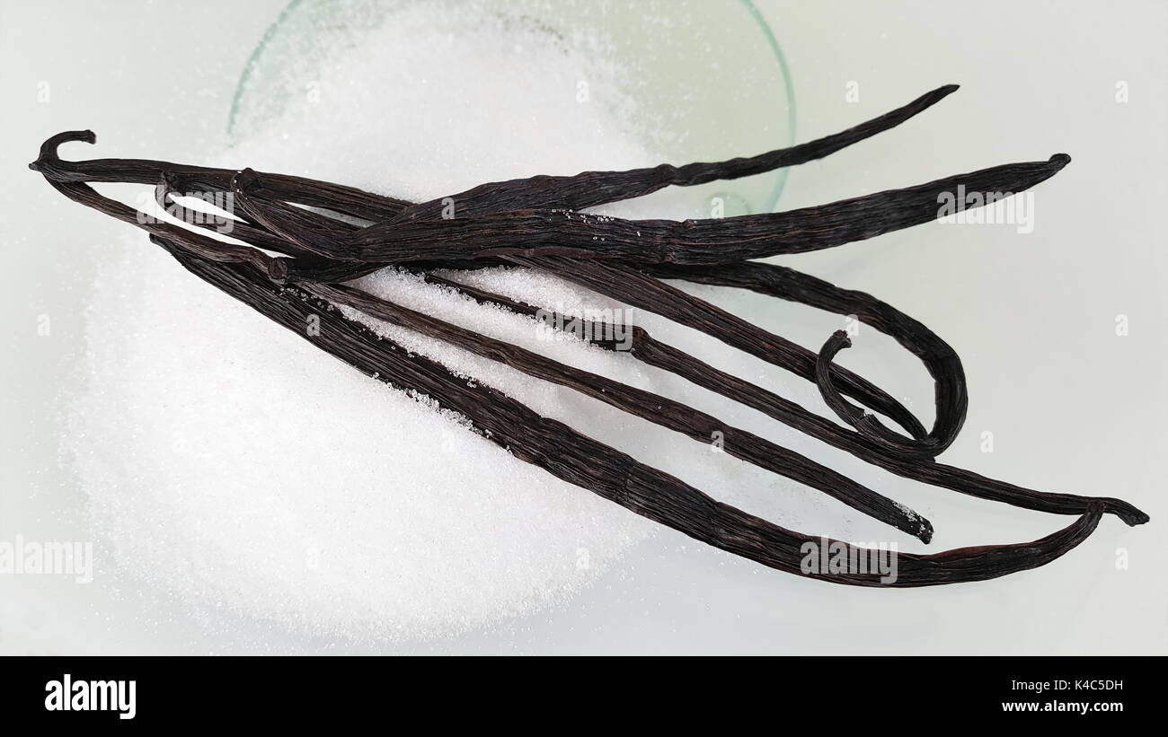 Vanilleschote hi-res stock photography and images - Alamy