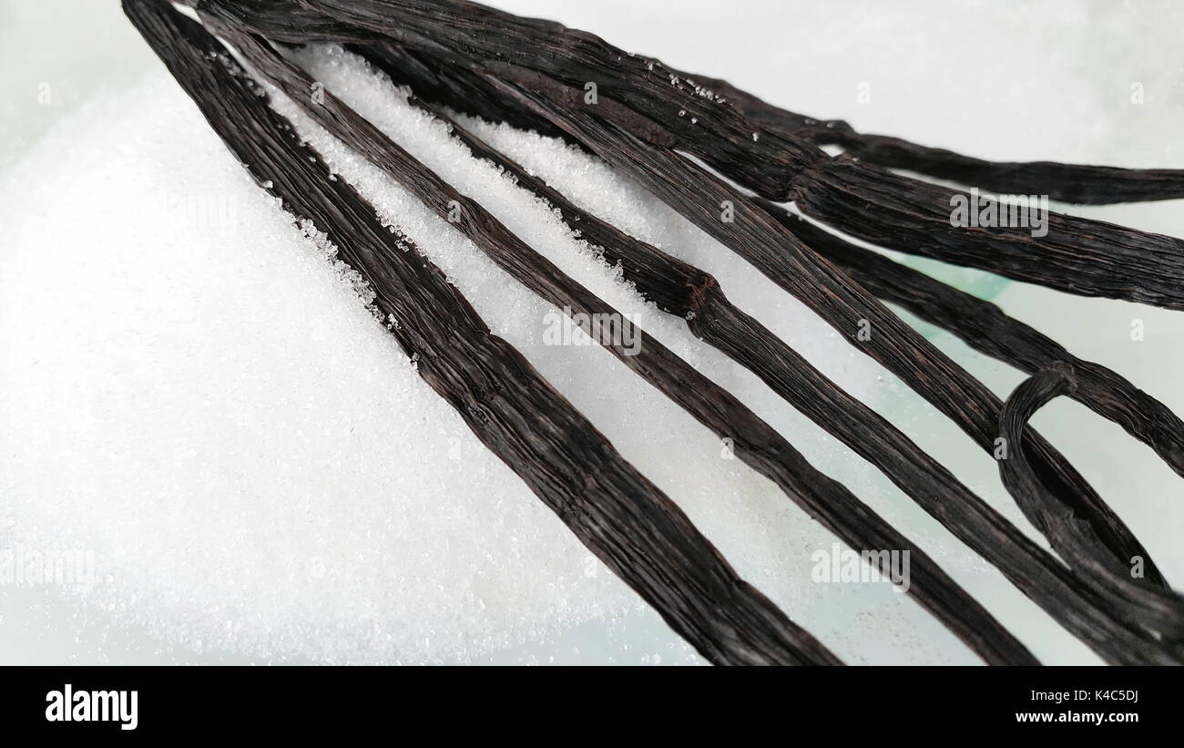 Vanilleschote hi-res stock photography and images - Alamy