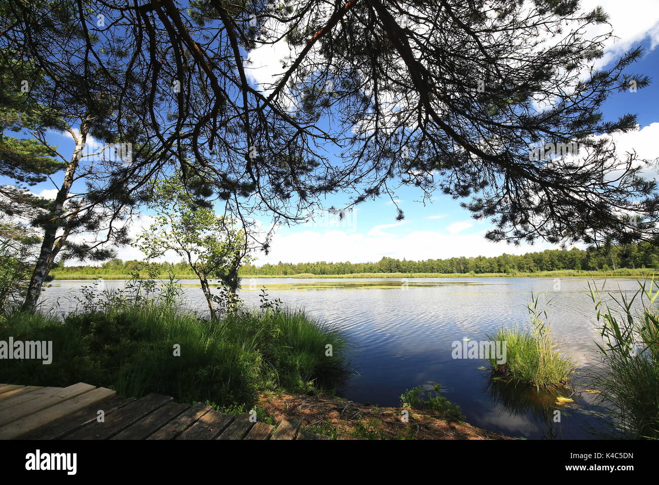 Riedsee lake hi-res stock photography and images - Alamy