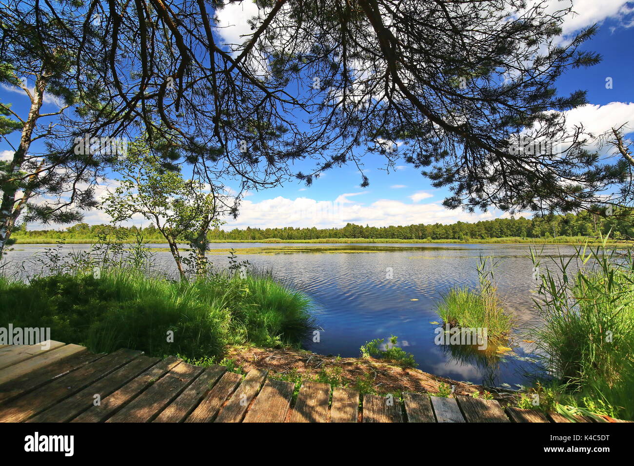Riedsee Lake High Resolution Stock Photography and Images - Alamy