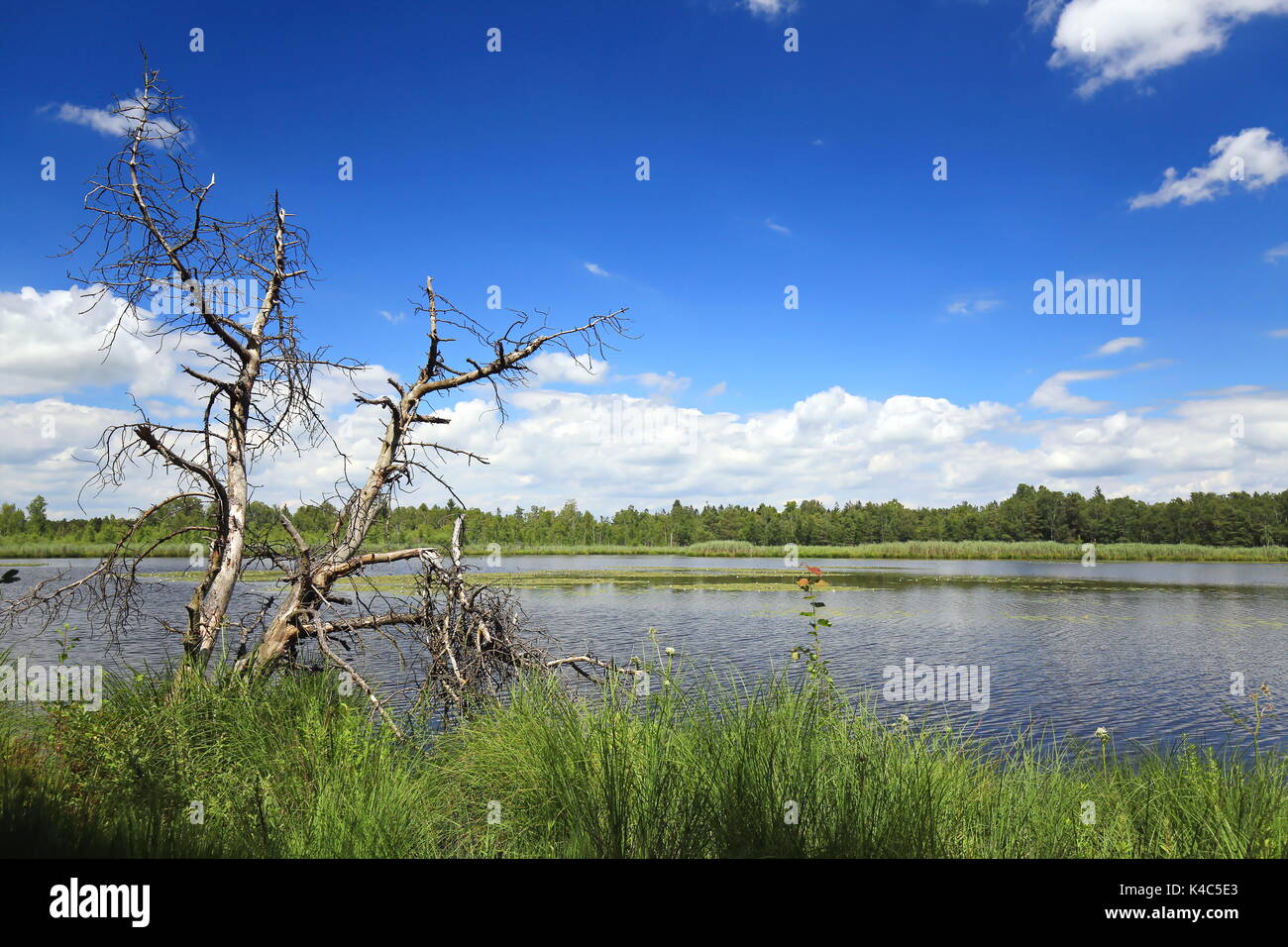 Riedsee Lake High Resolution Stock Photography and Images - Alamy