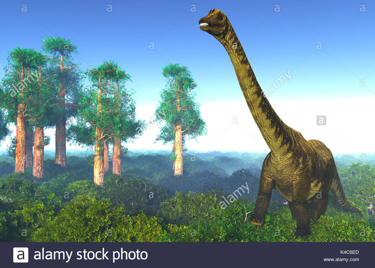 Diplodocus Head Stock Photos & Diplodocus Head Stock Images - Alamy
