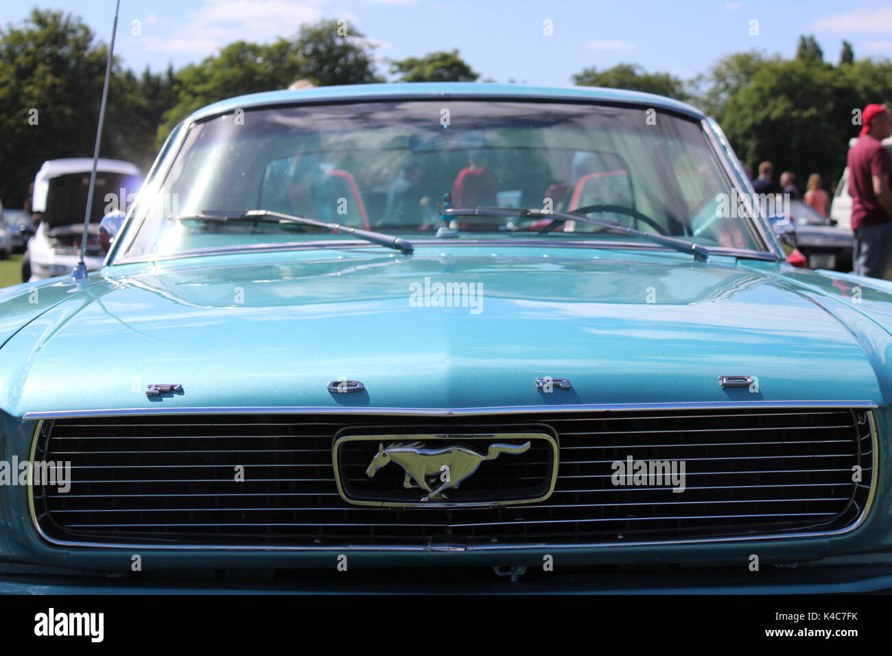 Baby blue mustang hi-res stock photography and images - Alamy