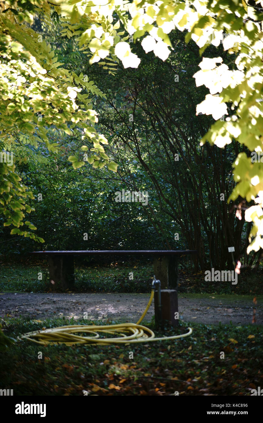Park Bench And Garden Hose Stock Photo - Alamy