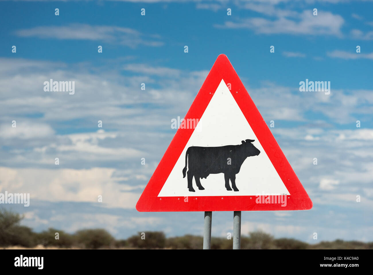 Cow signage hi-res stock photography and images - Alamy
