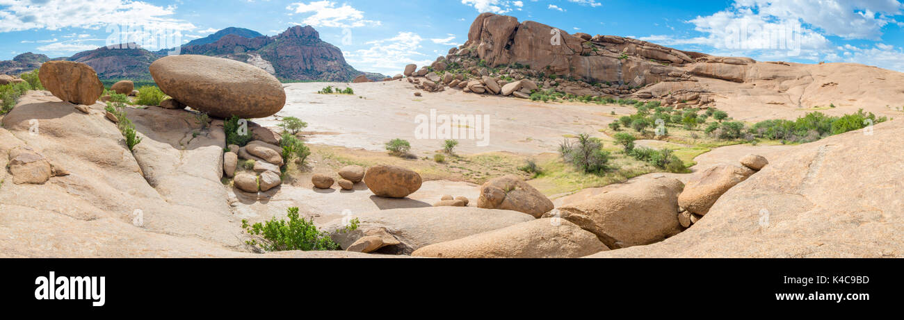 Ameib hi-res stock photography and images - Alamy