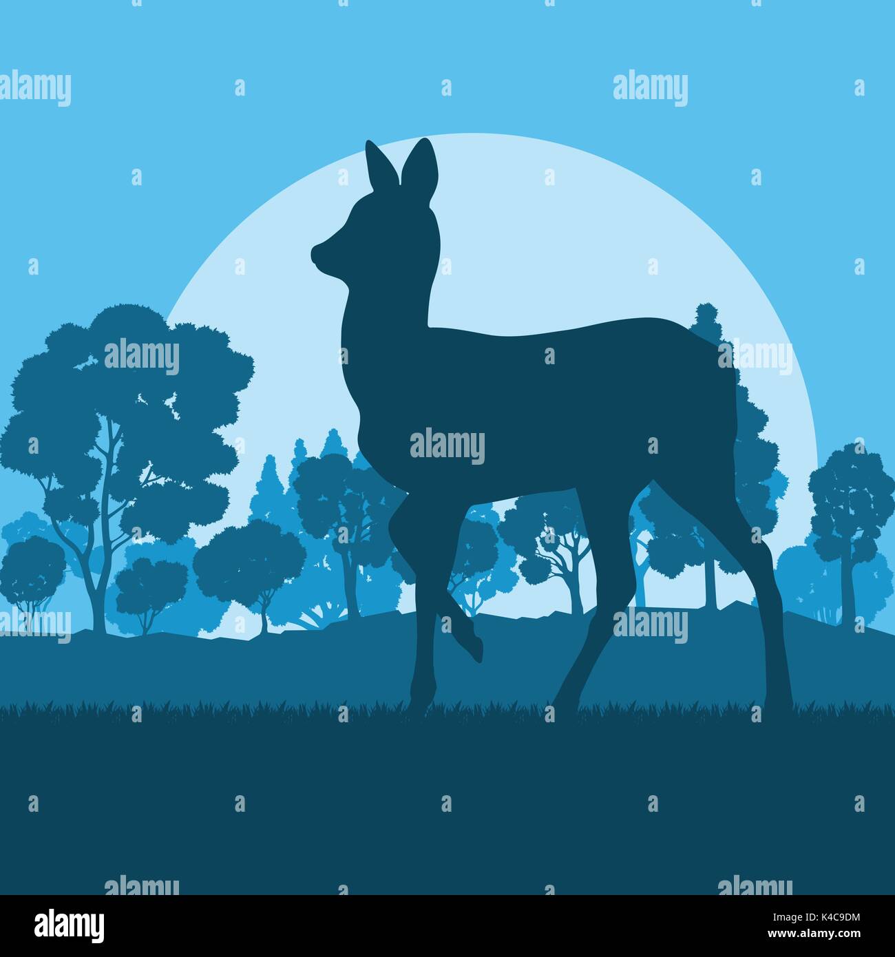 Roebuck Stock Vector Images - Alamy