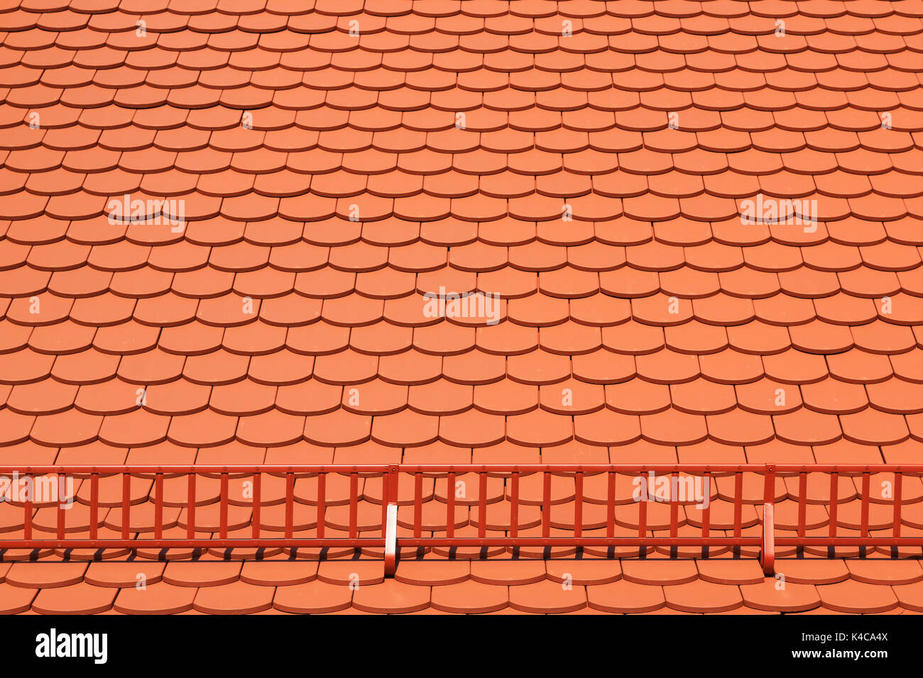 Beaver tail roof tile hi-res stock photography and images - Alamy