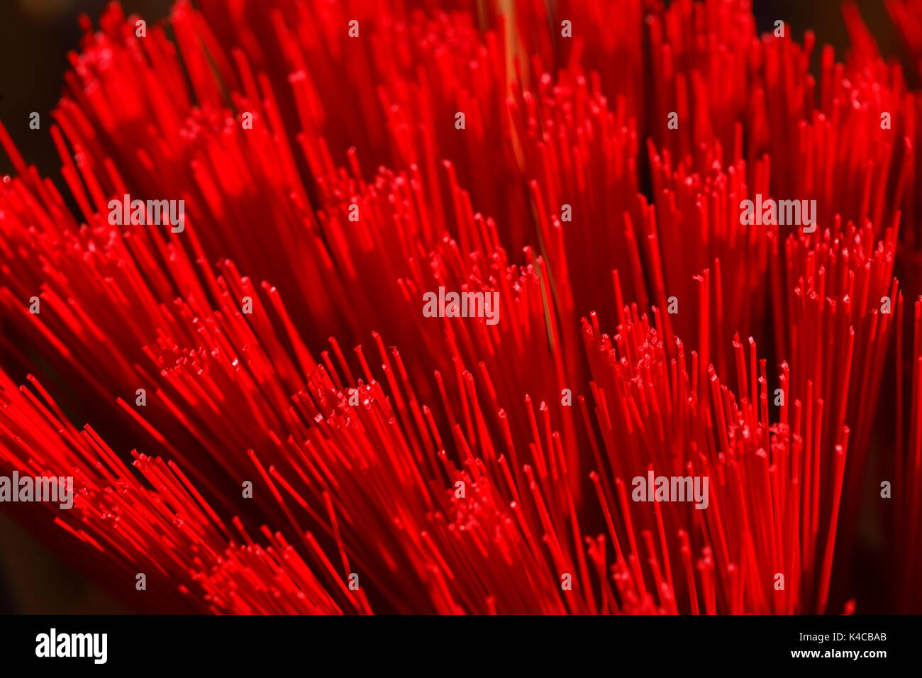 Red Broom High Resolution Stock Photography and Images - Alamy