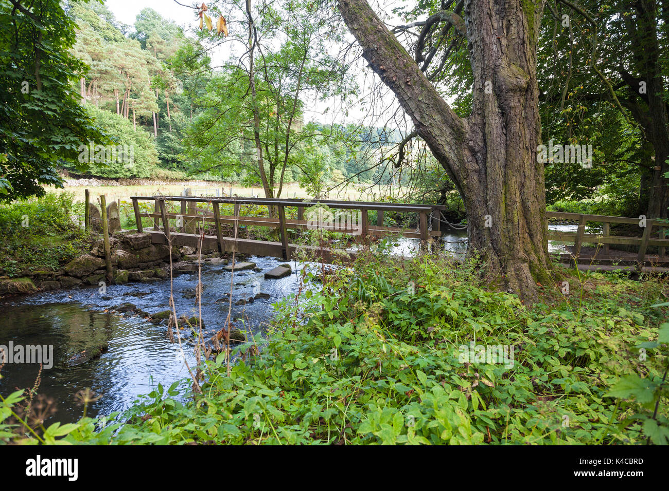 A wooden footpath bridge over the River Dove in Beresford Dale on the ...