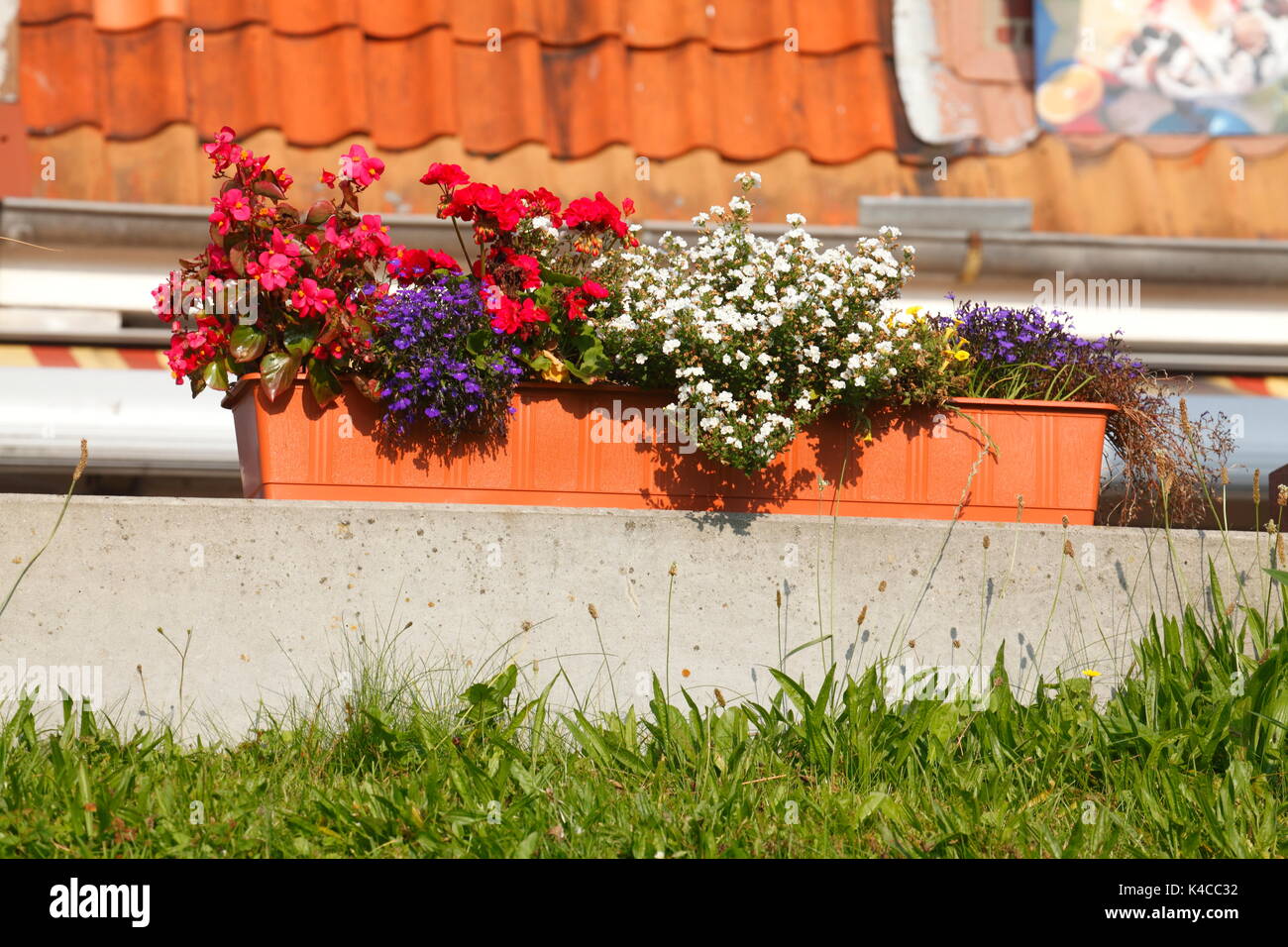 flower box with summer flowers on a wall Stock Photo - Alamy