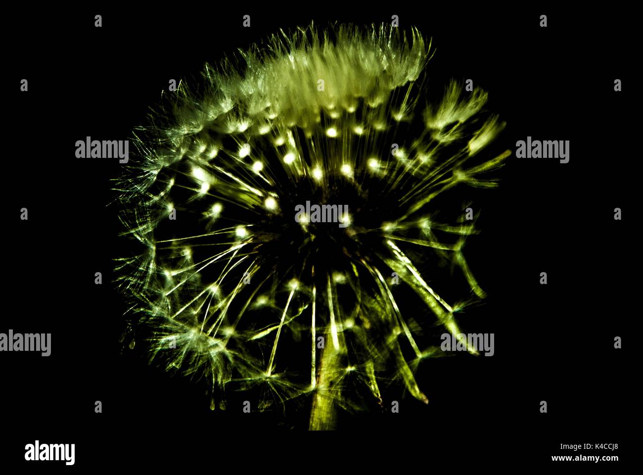 Alienated image hi-res stock photography and images - Alamy