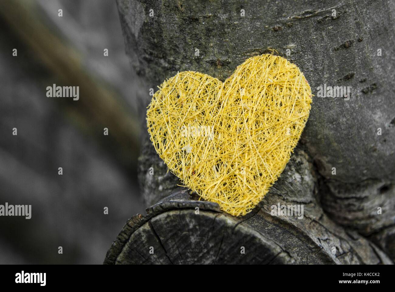 Heart small hi-res stock photography and images - Alamy