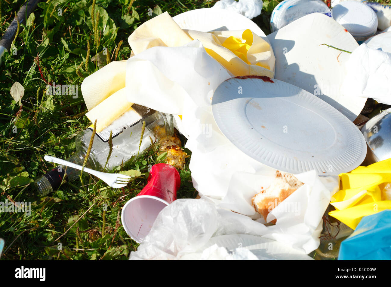 Grill party lake hi-res stock photography and images - Alamy