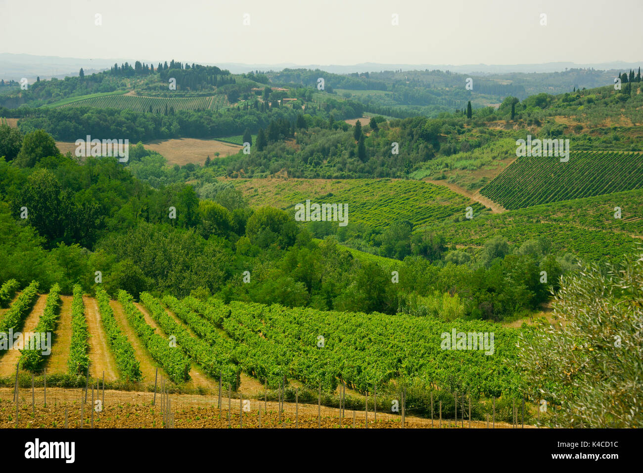 Typical rural fields and landscape in tuscany italy hi-res stock ...